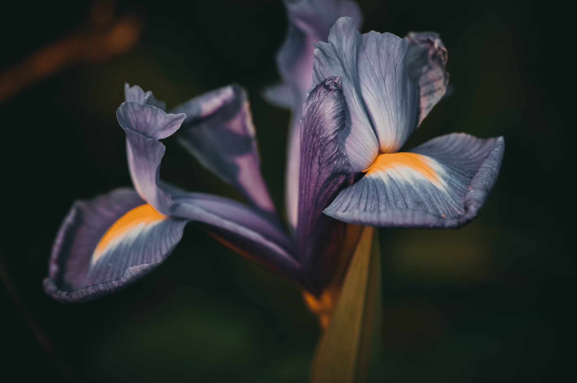 DBT for Emotional Relief - DBT Saskatchewan